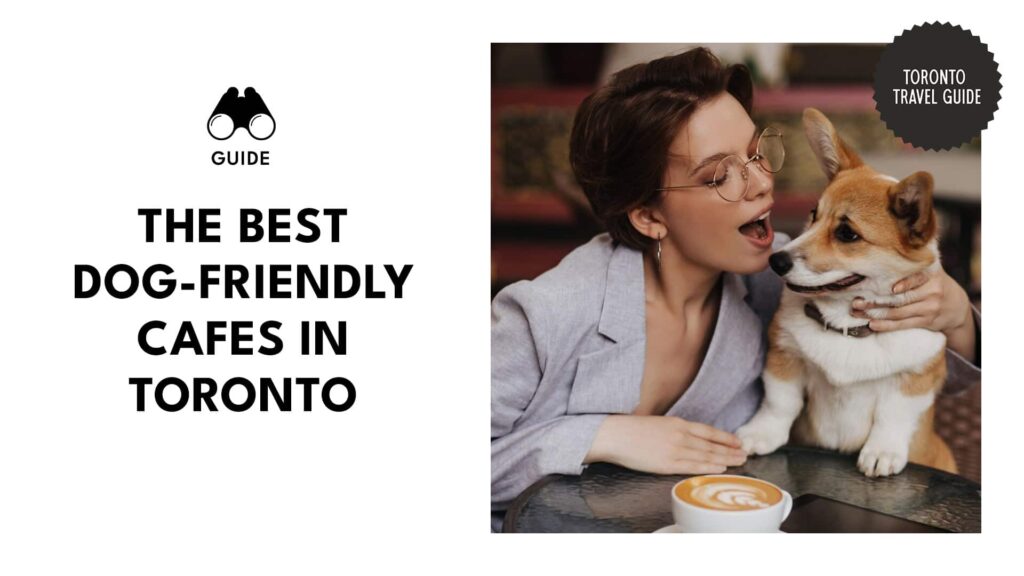 Top 9 Authentic Greek Restaurants In The Danforth