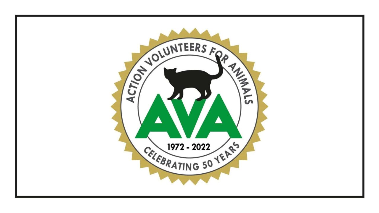 5 Caring Animal Shelters in Toronto Making Furbabies Happy [2026]