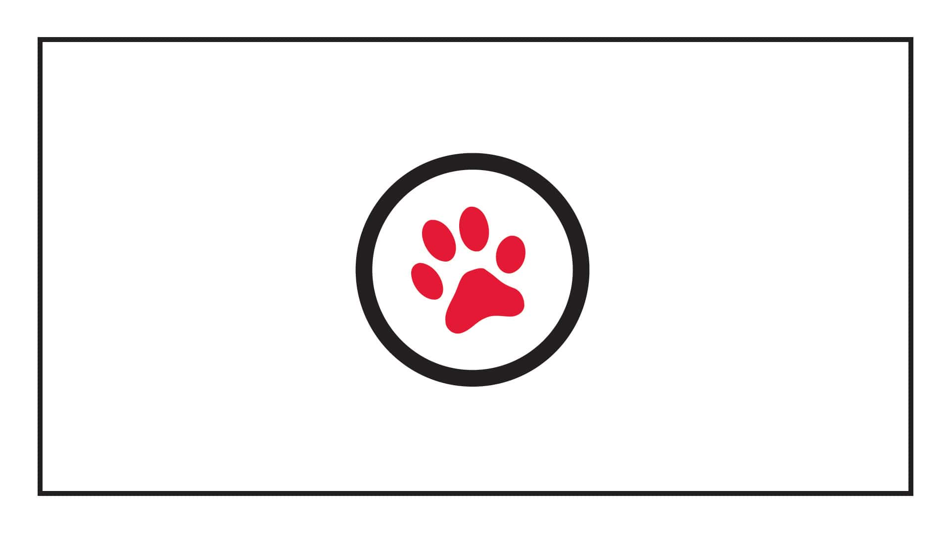 5 Caring Animal Shelters in Toronto Making Furbabies Happy [2026]