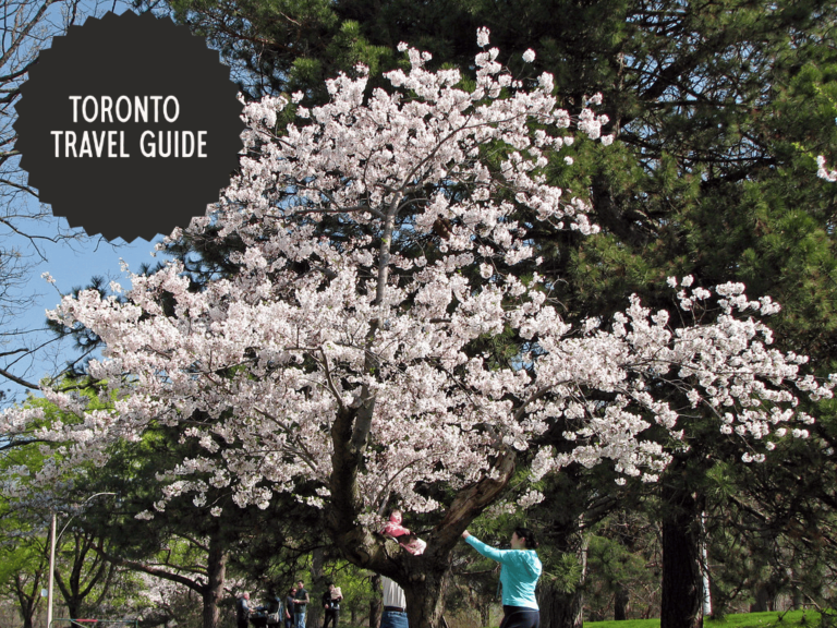 19 Museums in Toronto That Offer FREE Admission [2025]